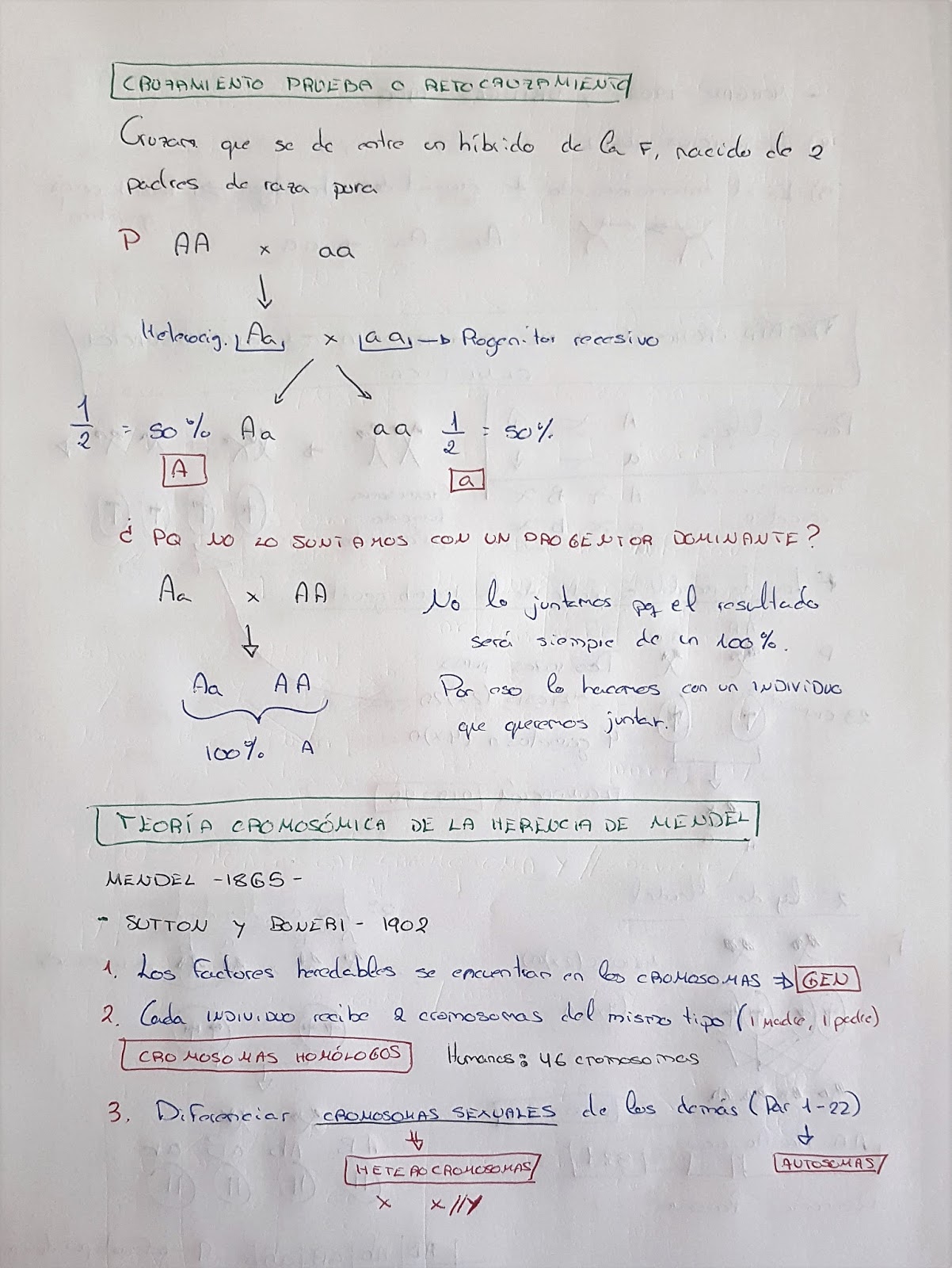 Aprende biología con nosotros: RETROCRUZAMIENTO Y TEORIA CROMOSOMICA DE ...