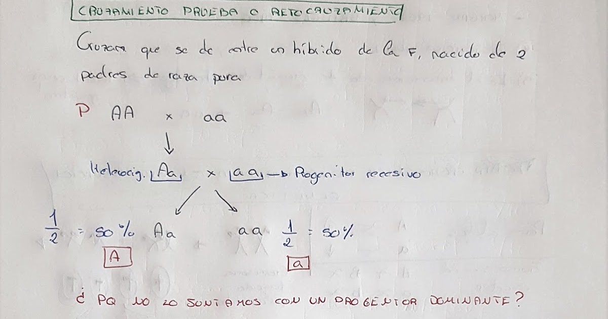 Aprende biología con nosotros: RETROCRUZAMIENTO Y TEORIA CROMOSOMICA DE ...