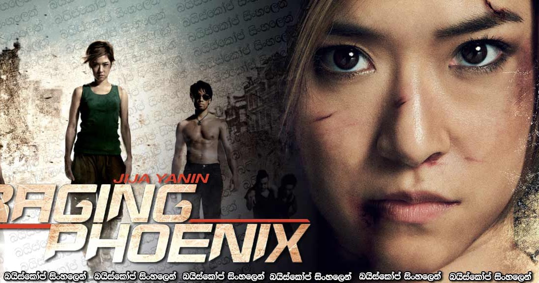 Raging Phoenix (2009) | ජීවිතය විඳින්න මිස විඳවන්න නෙමෙයි | Baiscope ඩවුන්ලෝඩ්