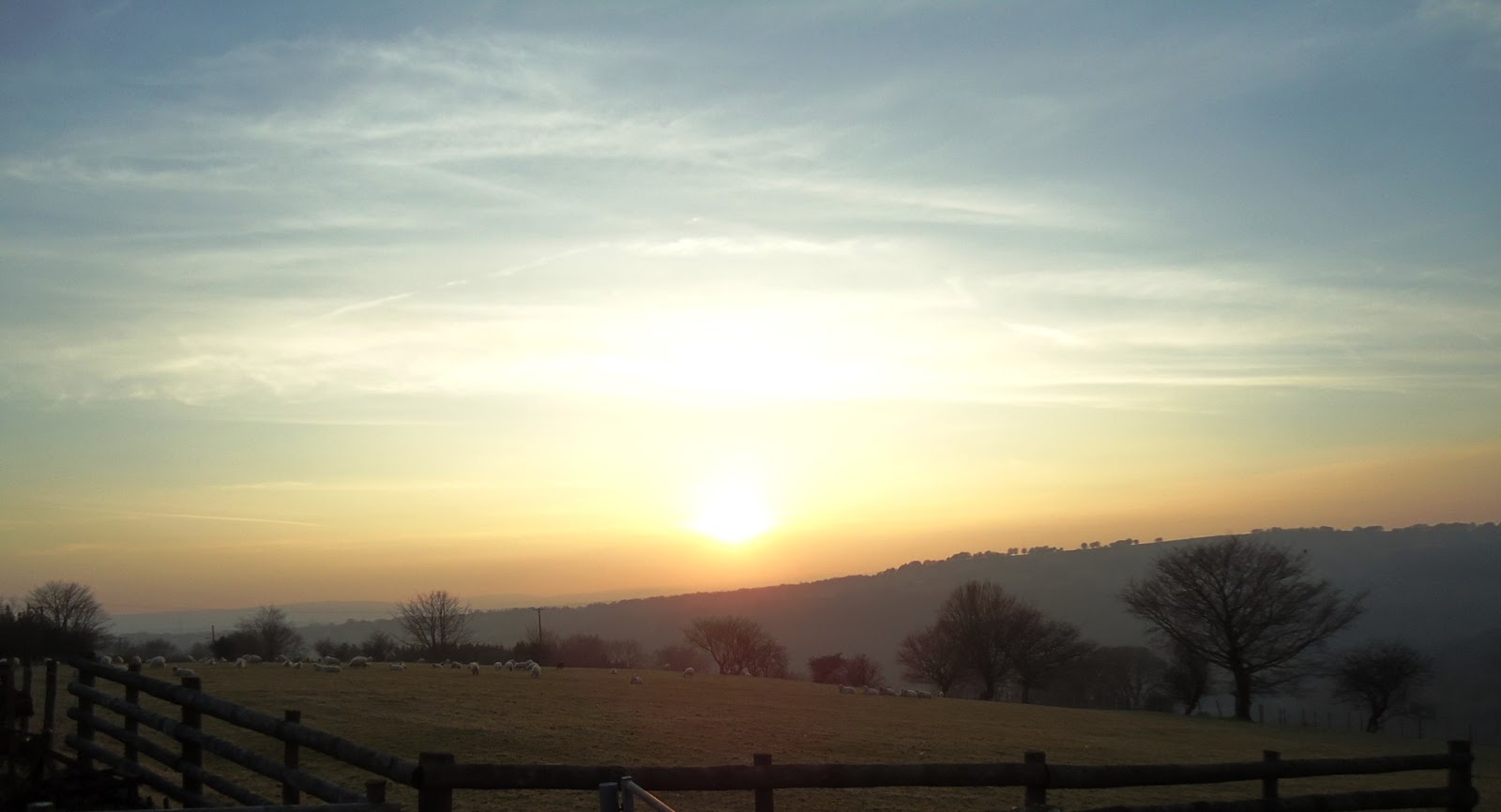 Dafad's-Days: DAFAD IS BACK.