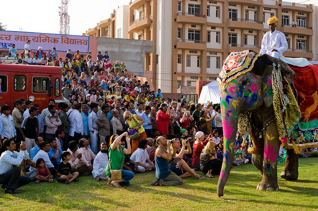 I am a free spirit and Lover of INDIA: Elephant Festival