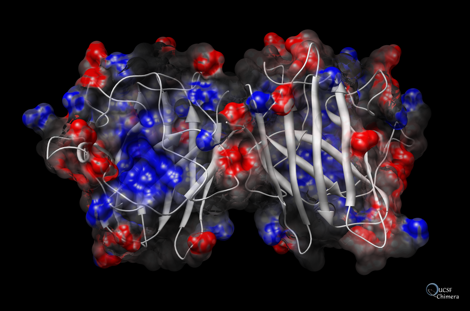 BIOLOGY WRITE-UP - BIOLOGY ARTICLES: SUPEROXIDE DISMUTASE: structure ...