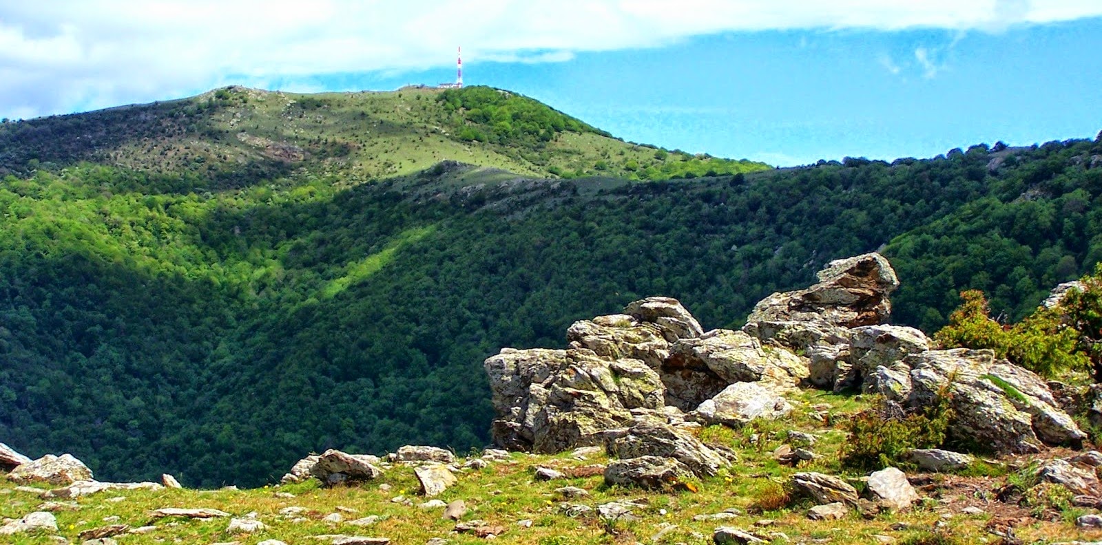 Cantallops Acció Cultural: Cursa de Puig Neulós - 1/2 marató