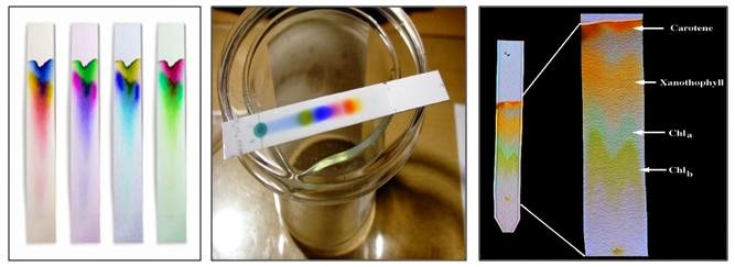 Use of Thin Layer Chromatography in Separation Process