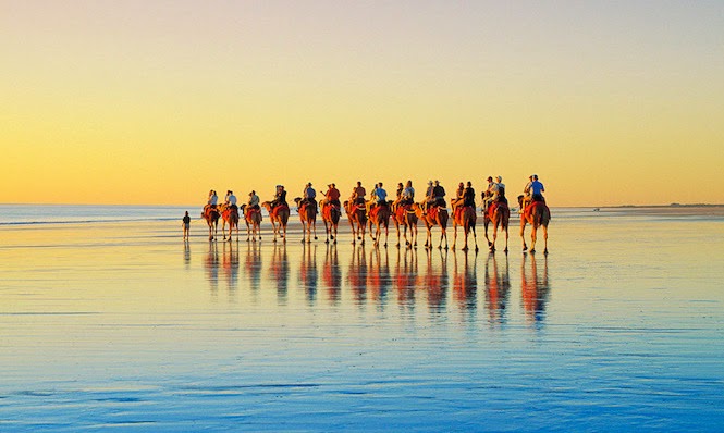 The Flying Tortoise: The Spectacular Australian Camel Train. Don't Miss ...