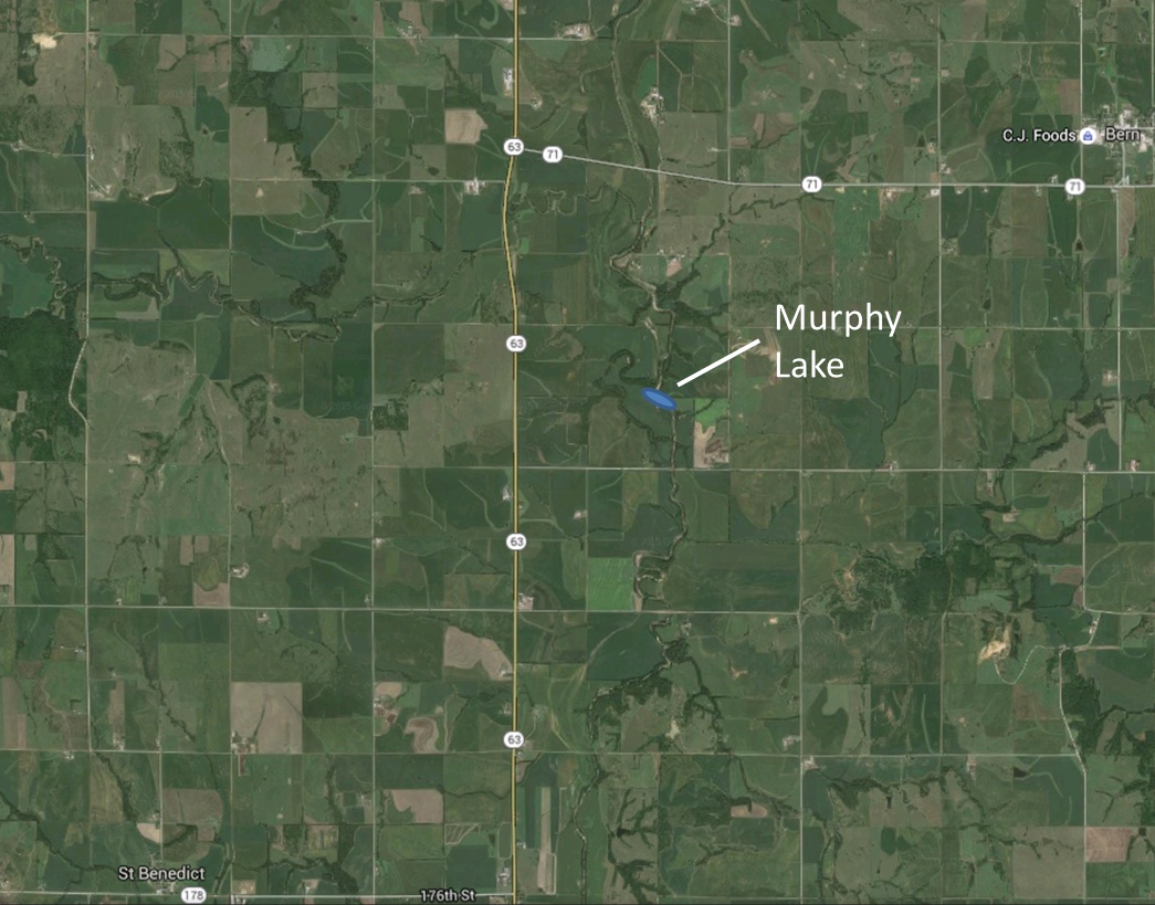 Random Walks in Time: Mormon Grove