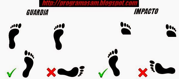 SISTEMA DE AUTOEXPRESION MARCIAL : 2014