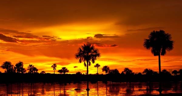 Region Llanera: Origen y constitución