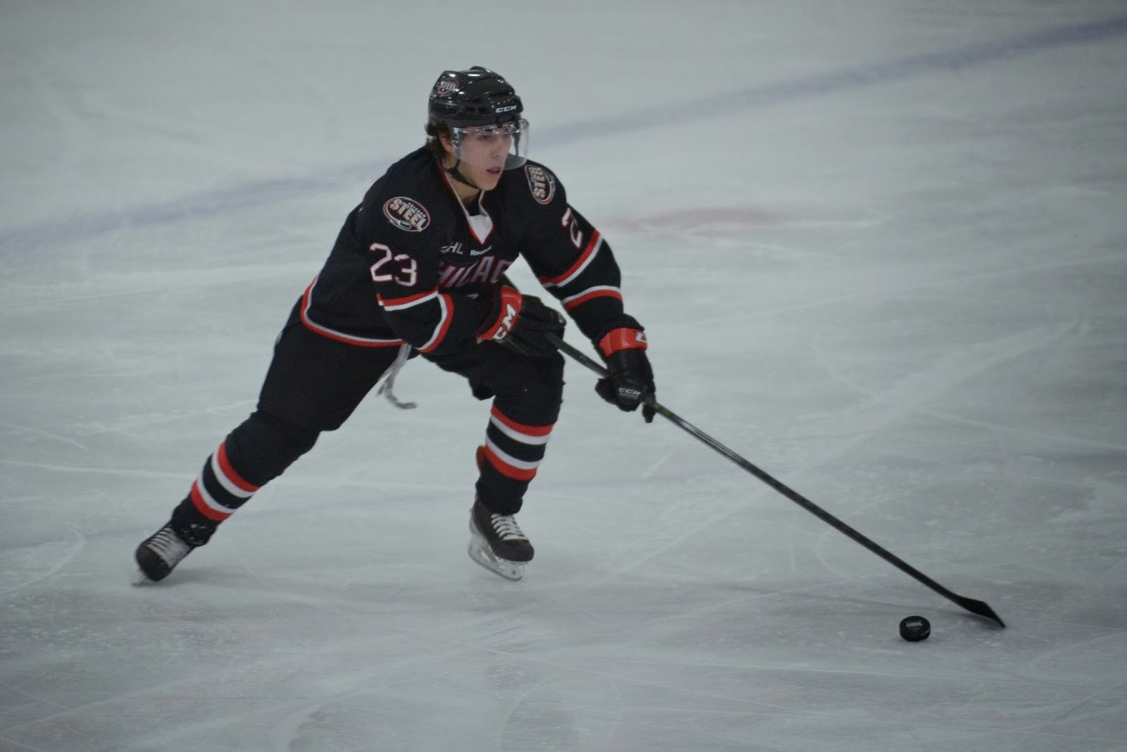 Chicago Steel Hockey: March 2014