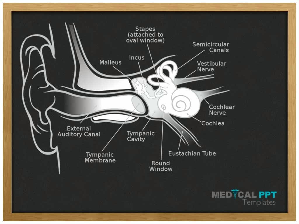 Medical Powerpoint PPT Template: Theme Based Medical Templates - What ...