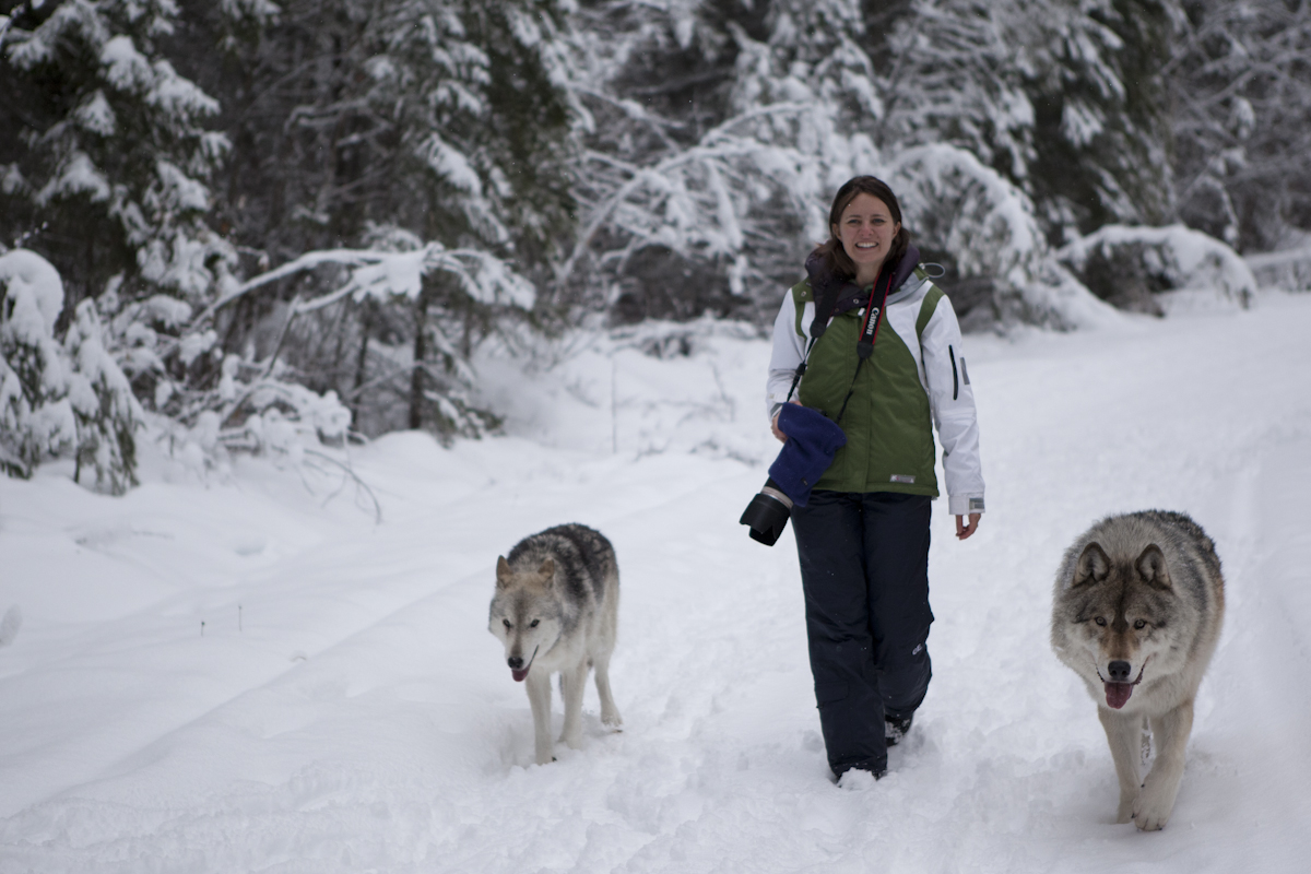 165 days in Canada EH !: Day 140 - Walking with the Wolves