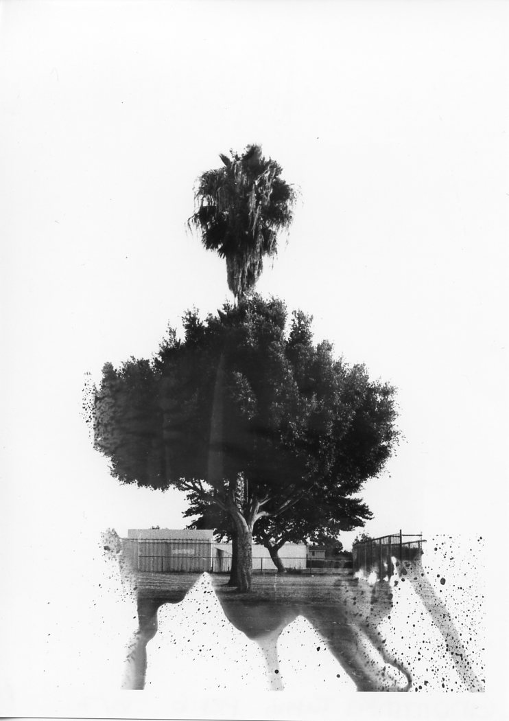 Kennedy High School Photography: Selective Development II