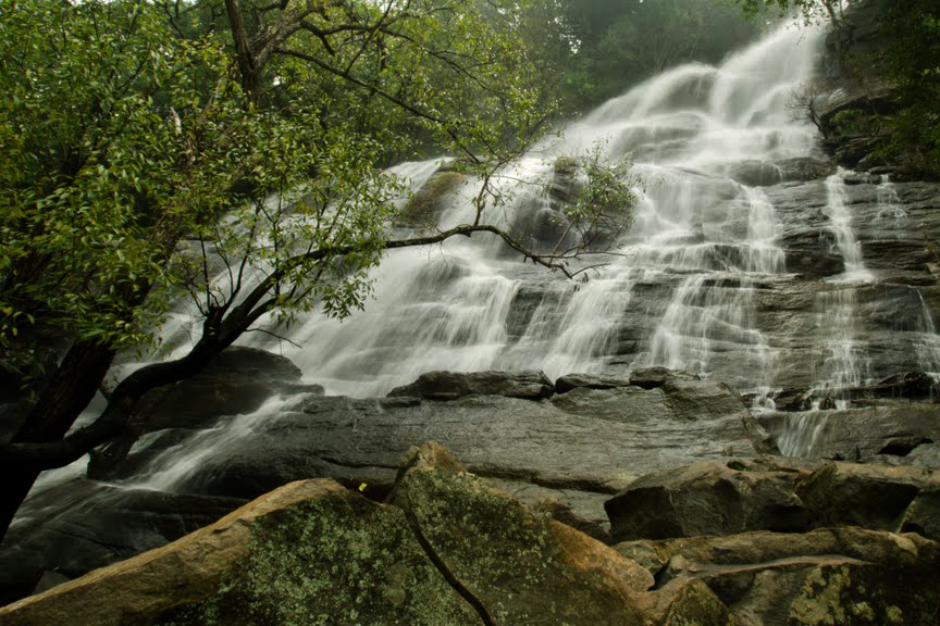 Yercaud lake - A Jewel of South - Tamil Nadu Holy Places and Tourism