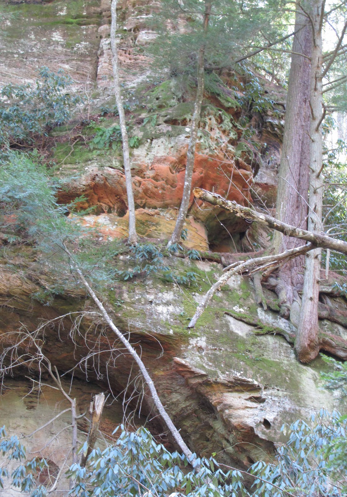 Appalachian Heartbeat: A Visit to Natural Bridge State Park, Kentucky