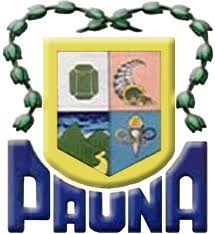 municipio de pauna