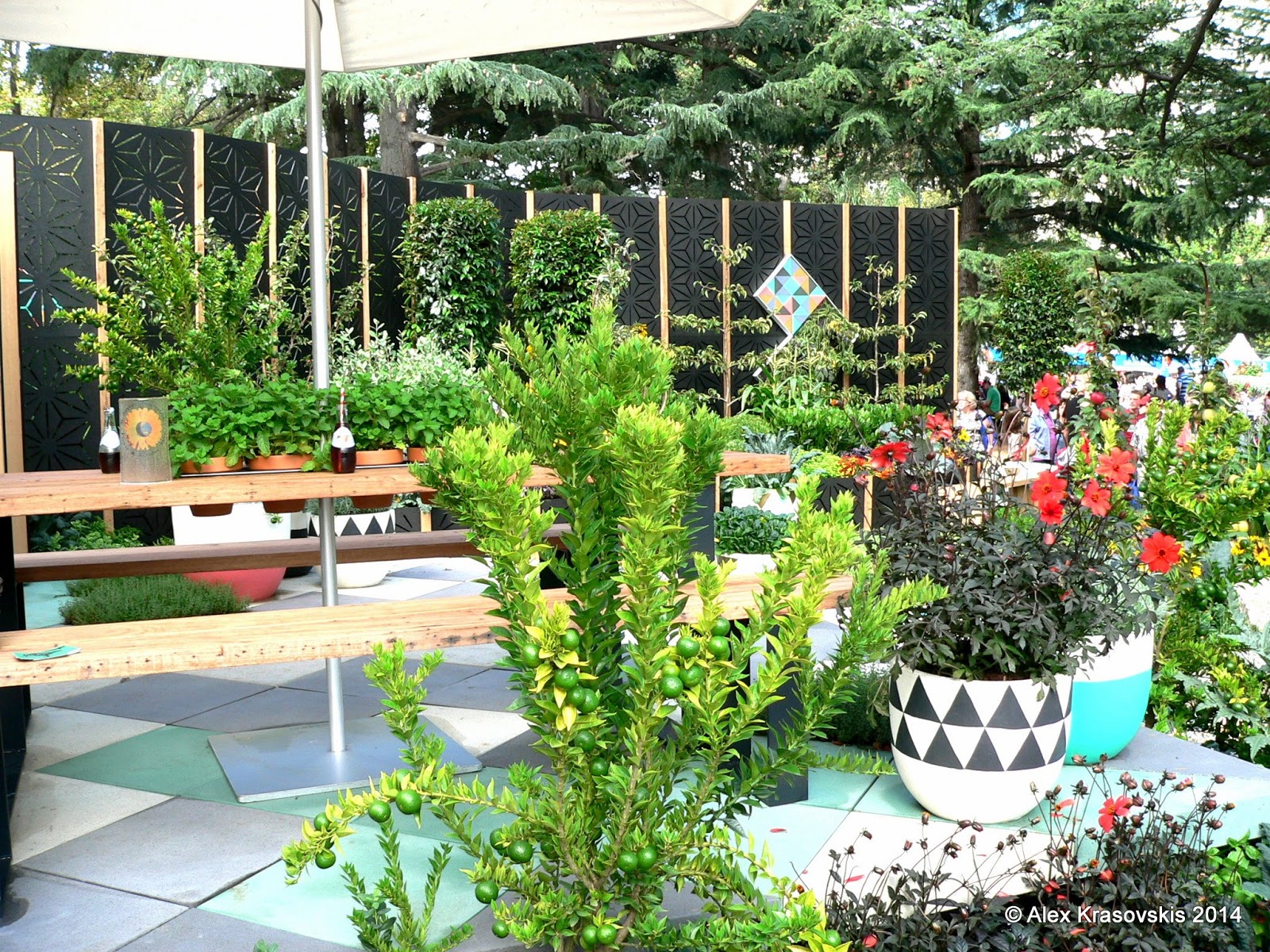 Aggregata Plants & Gardens: Melbourne International Flower & Garden ...