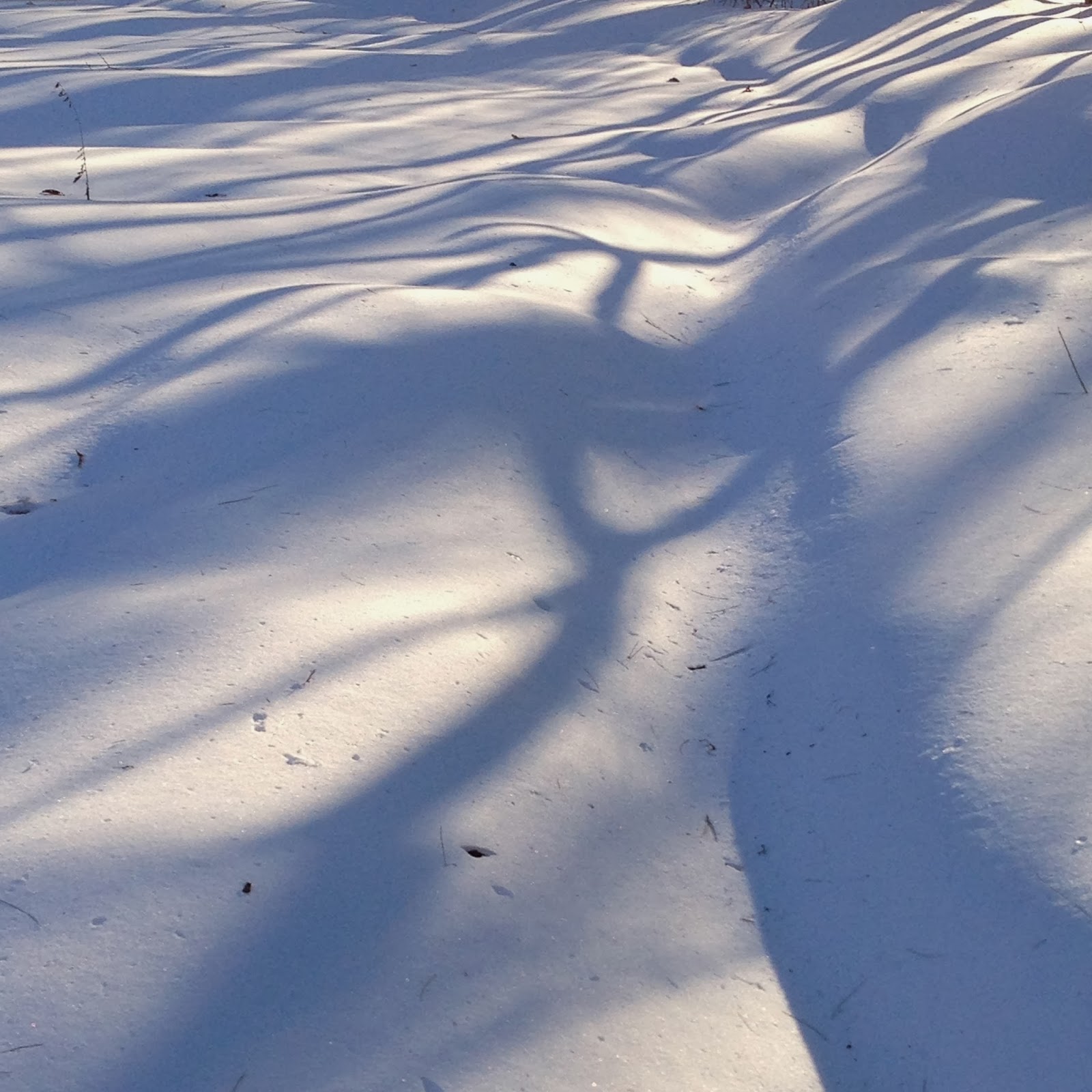 A Life Inspired by Nature: Abstract snow