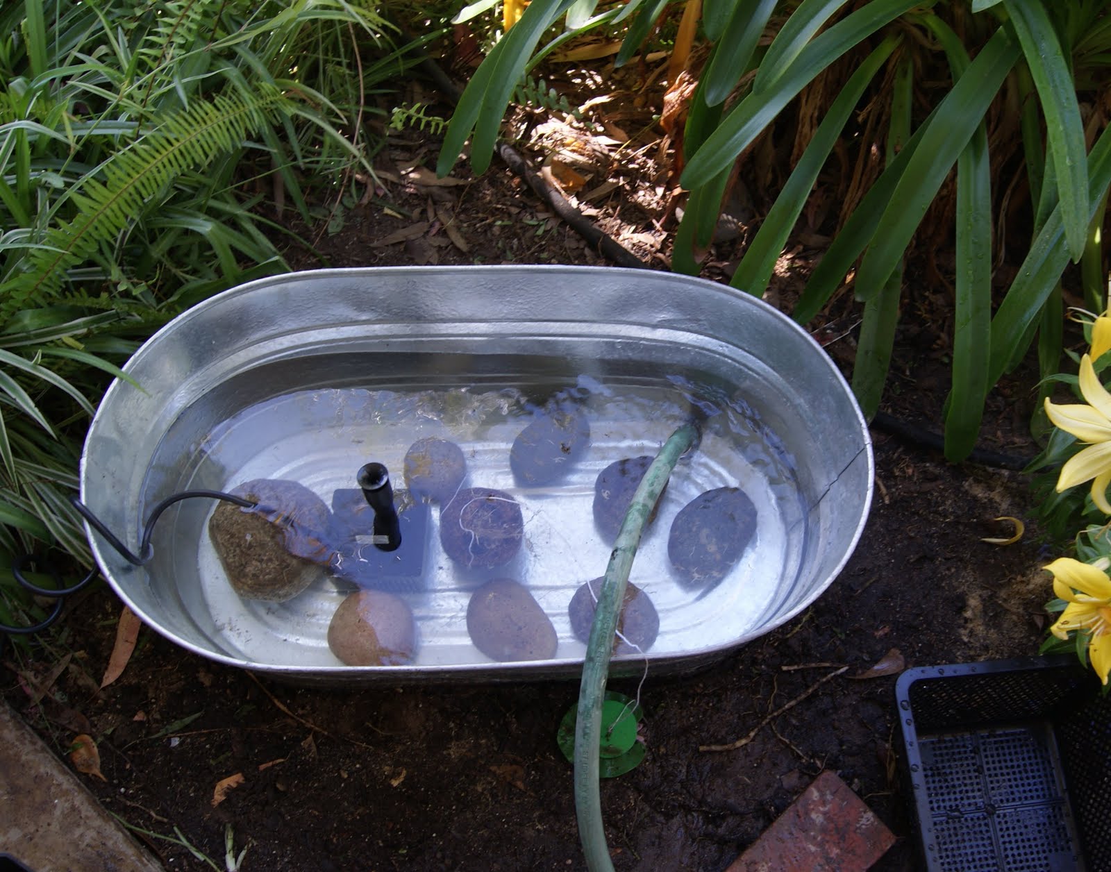 Puddle Jumper Creations: Make Your Own Water Feature in 45 Minutes!