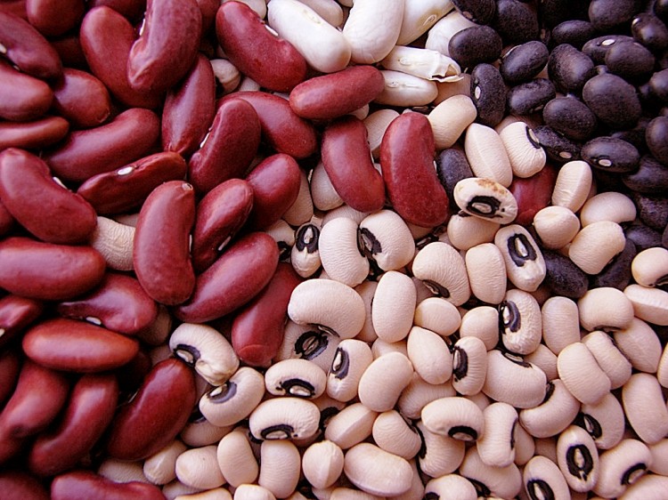 Guia para uma Alimentação Saudável: Os benefícios do feijão