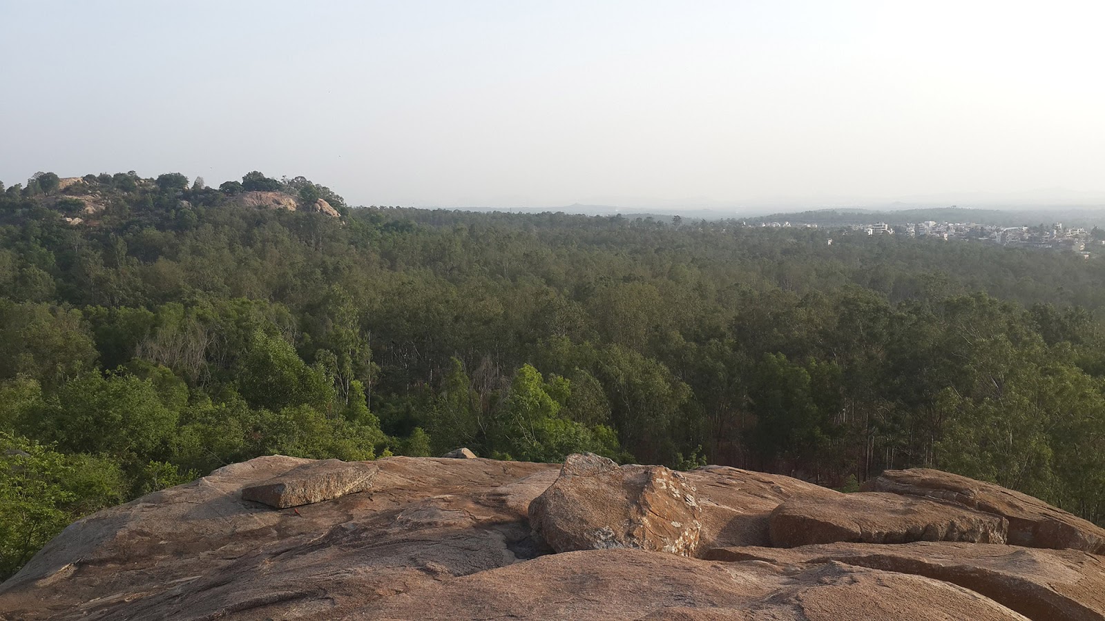 Treks and travels: A short hike in Turahalli forest