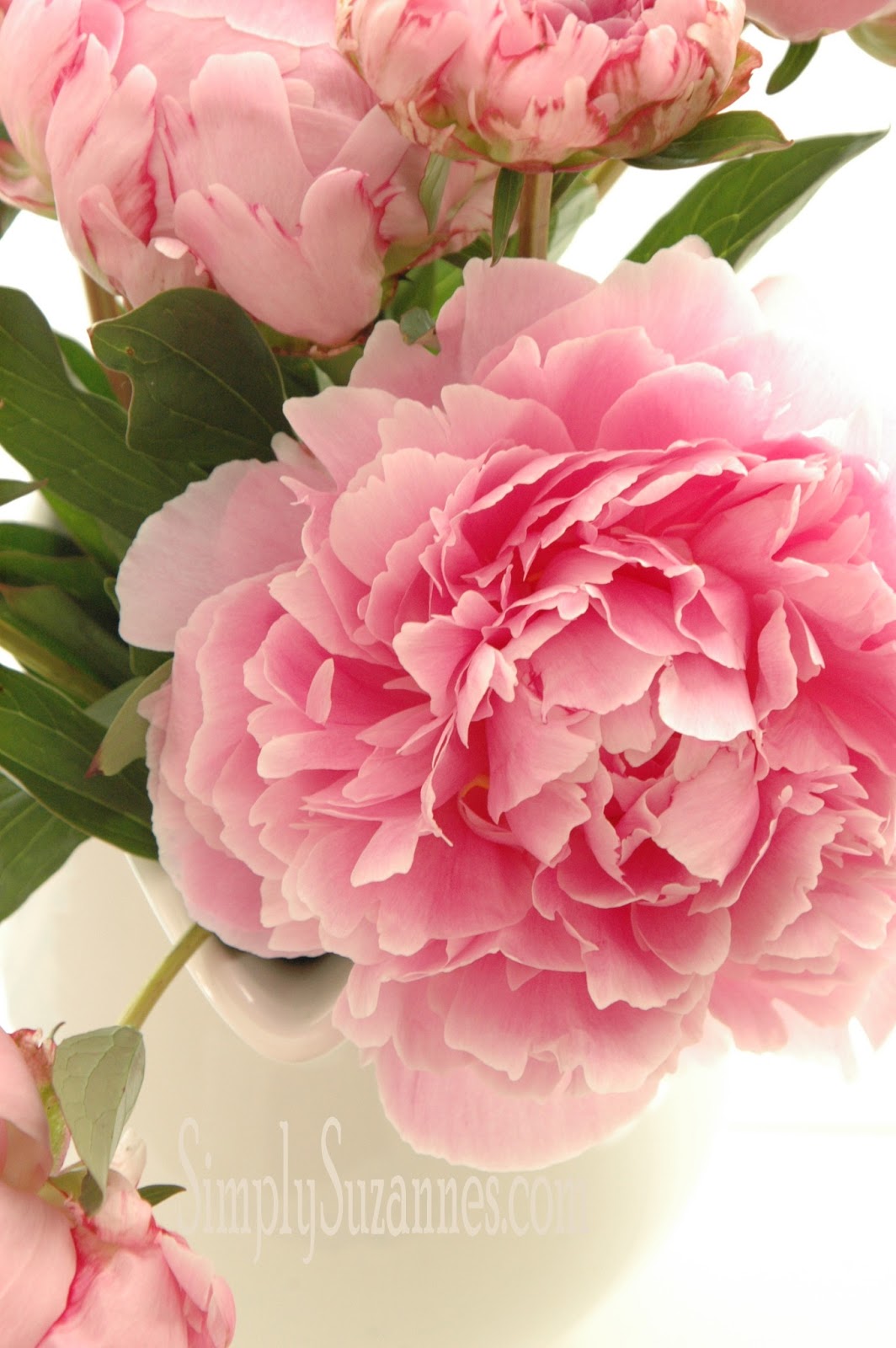 Simply Suzanne's AT HOME: pink peonies