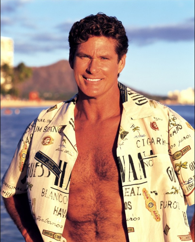 David Hasselhoff Photos | Tv Series Posters and Cast