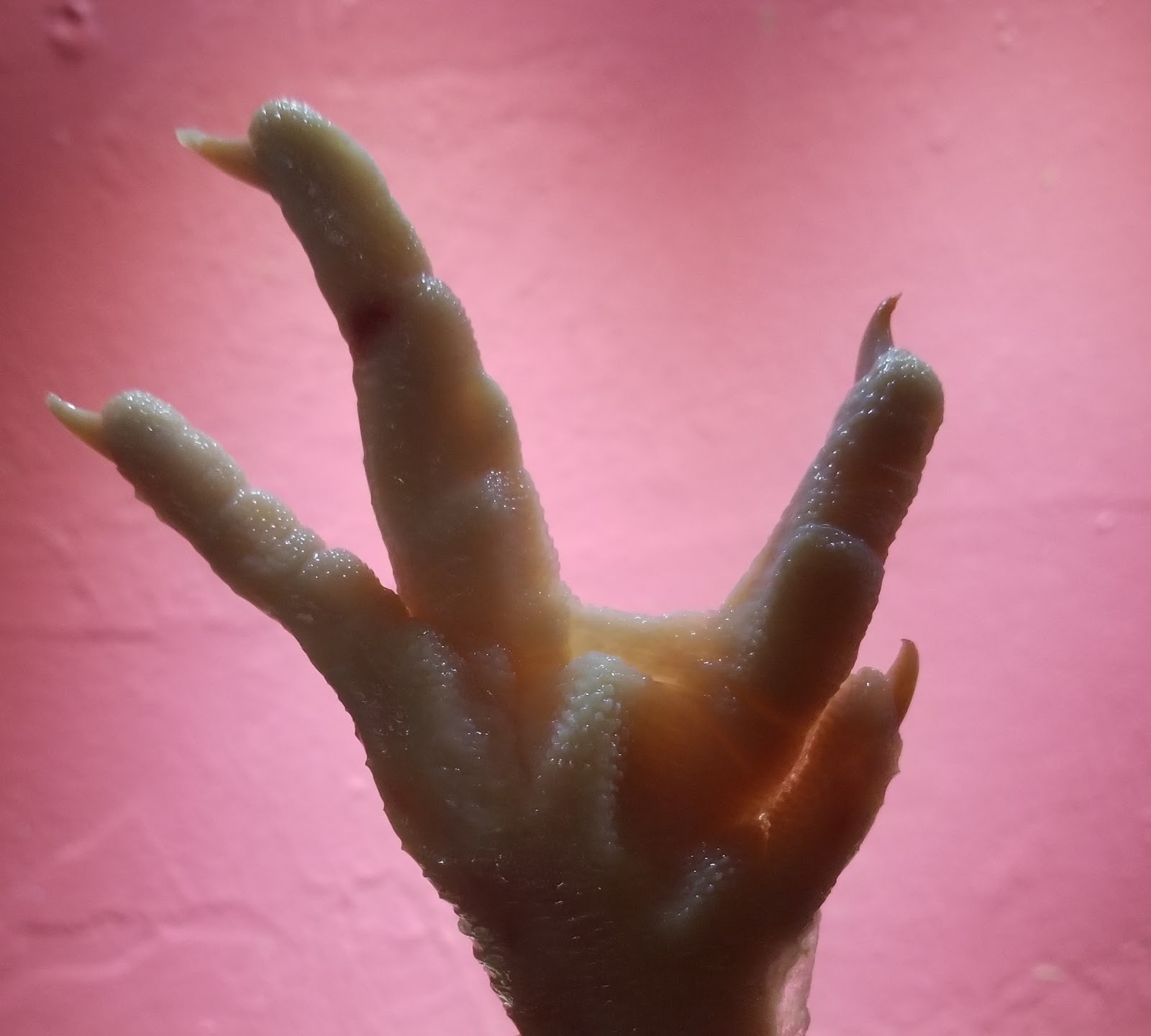 Live Long and Prosper Chicken Feet