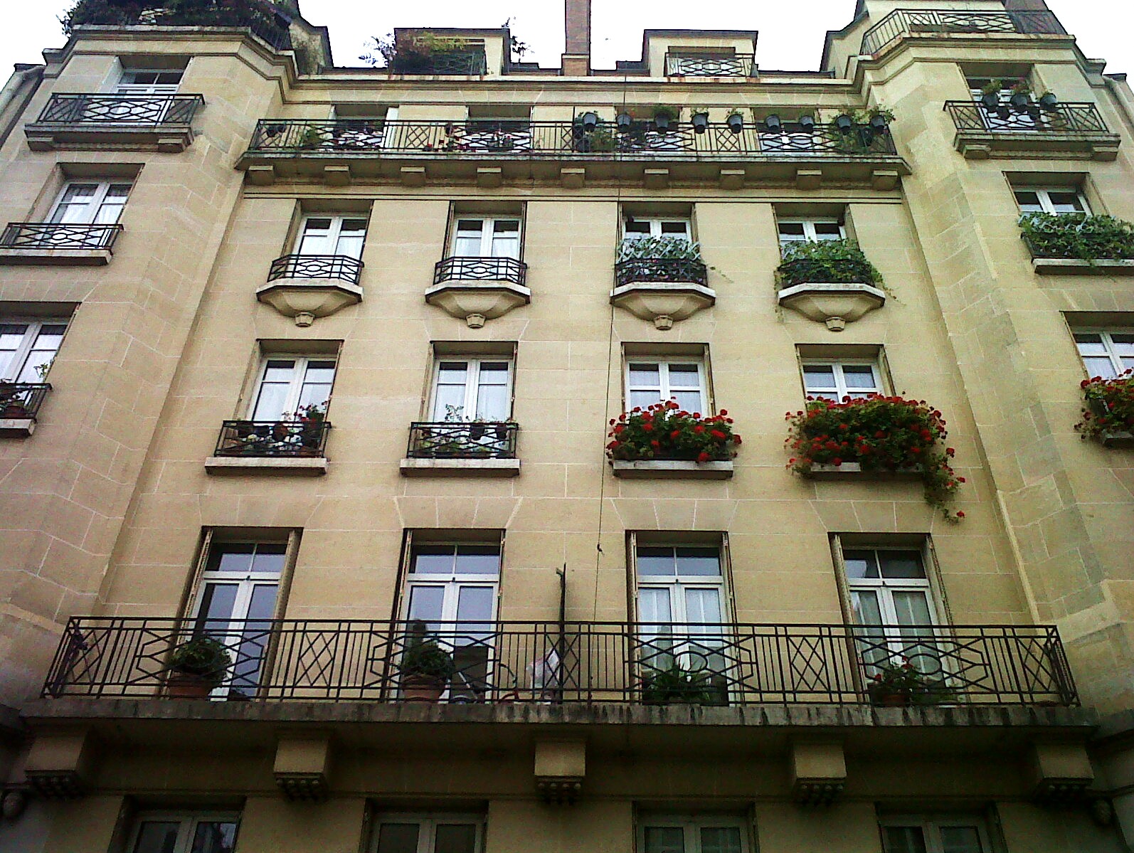 letters to a higher power: An UnBEETable Adventure 8: Paris