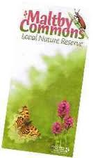 Remembering Maltby : Maltby Common