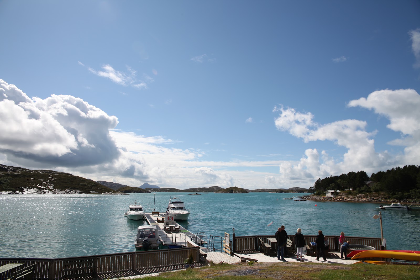 Svalbardliv: Rause Rødøy