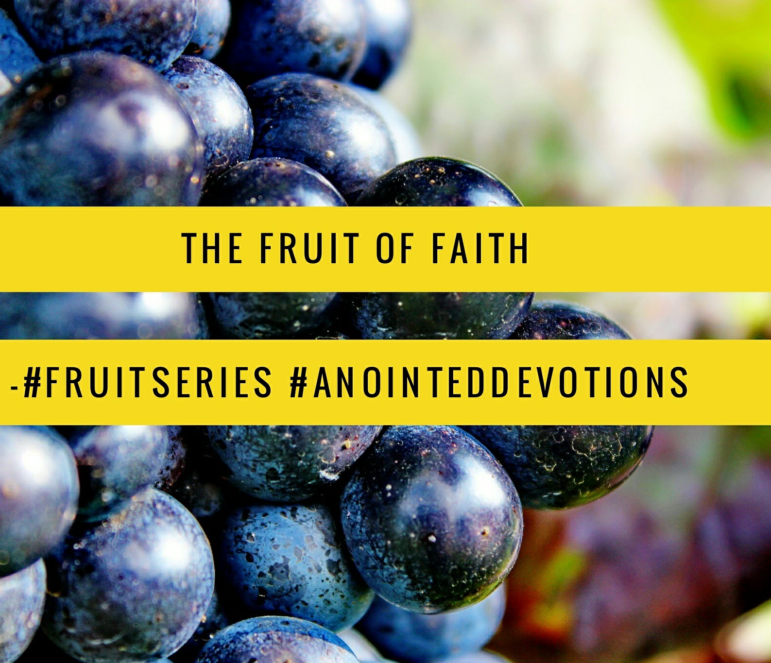 The Fruit of Faith