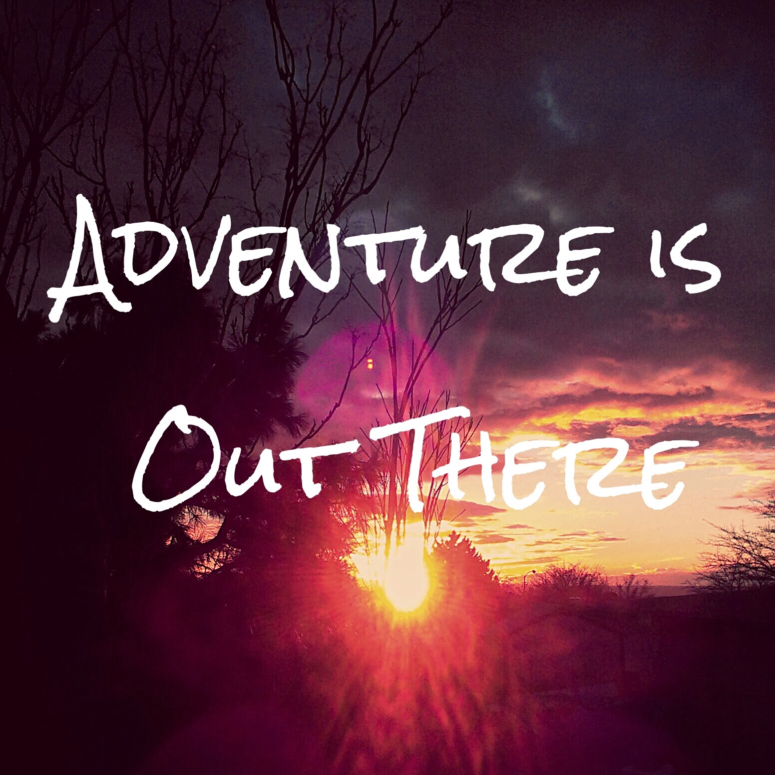 Venture Into Adventure: 2014