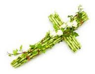 LIFE?: YIFI LOGO (symbols and meaning)