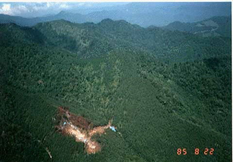 Yusuke Japan Blog: Japan Airlines flight 123 crashed (1985) in Mount ...