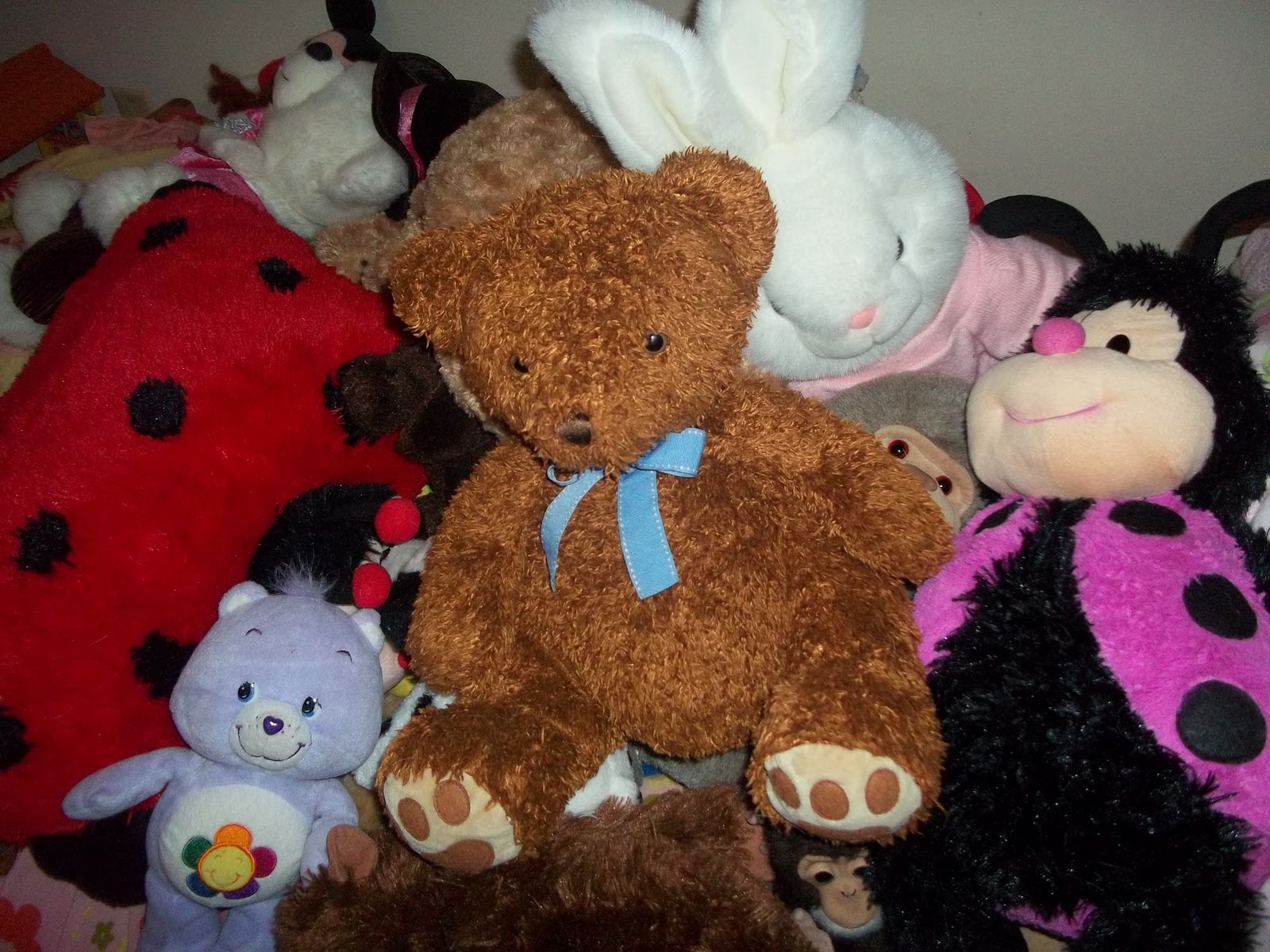 Looking for the Best Stuffed Animal Storage Ideas? ~ A Mama's Corner of ...