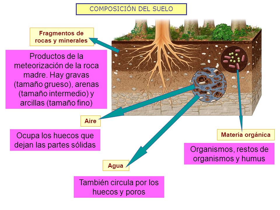 CERTIFICACION: composicion de los suelos