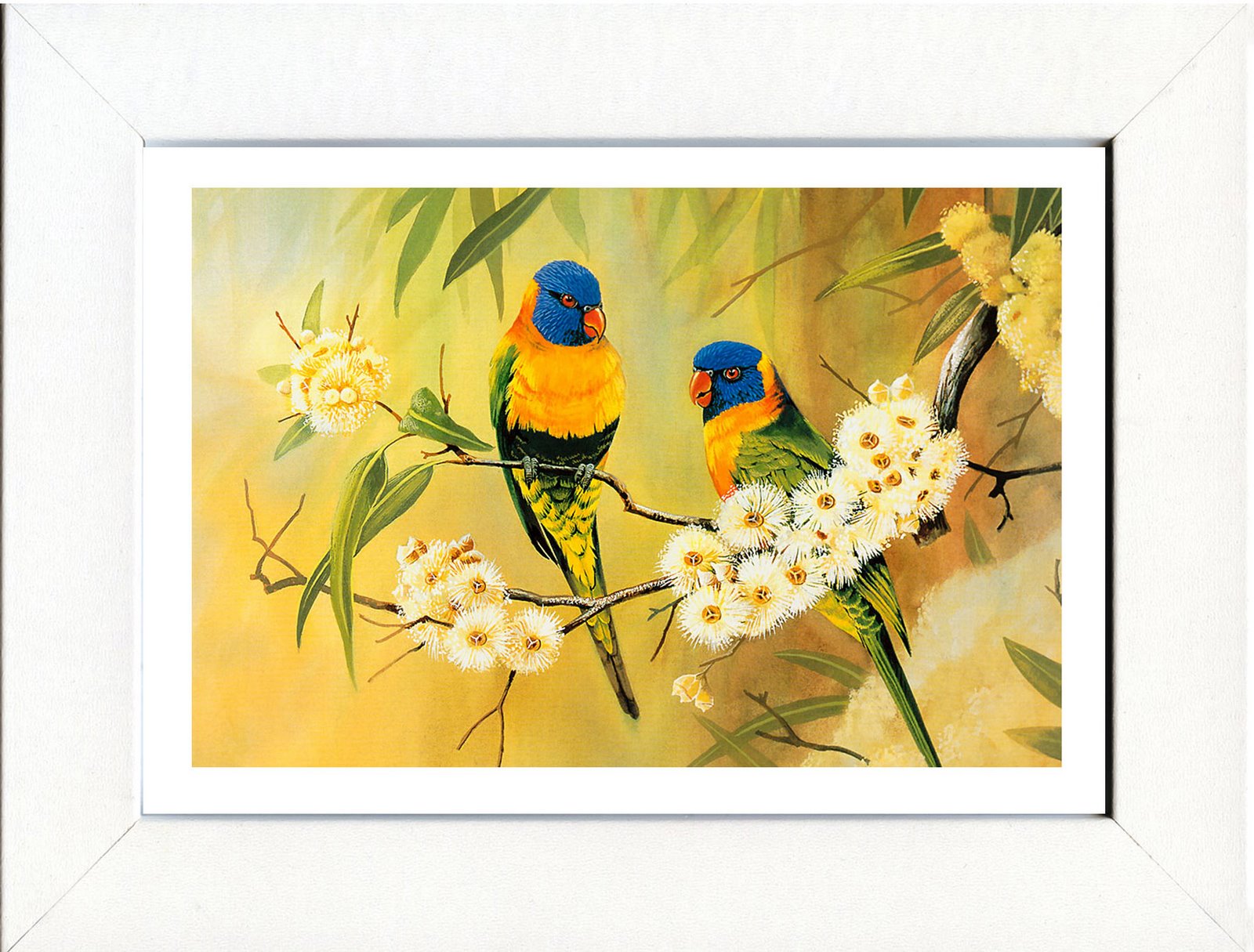 jjjewel.resimlerim: KUŞ VE DOĞA TEMALI RESİMLER