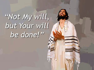 the WONDERFUL plan of HIM!: JESUS..it's exam!!