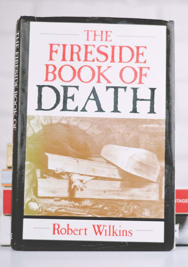 Becky Bedbug: Top Books of 2015