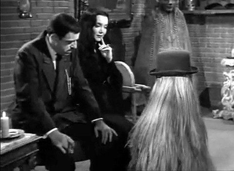 Beach dreadlocks : r/funny