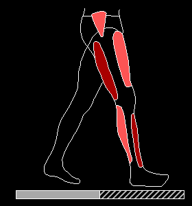 Functional Ambulation Categories - Classificando a Funcionalidade do ...
