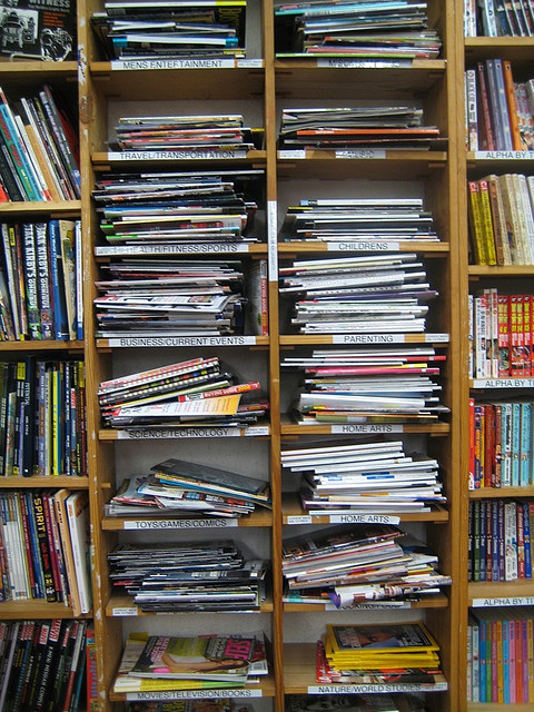 Lisa Romeo Writes (the blog): Publication Venues Everywhere, How's a ...