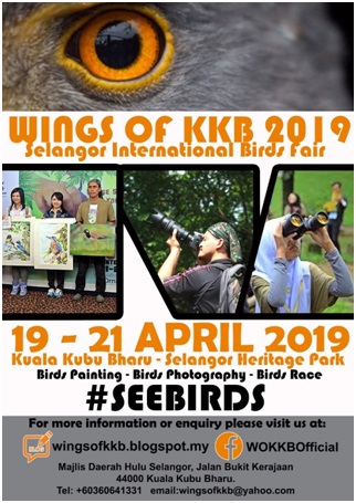 Wild Bird Club of Malaysia: ACTIVITIES AND EVENTS FOR 2019