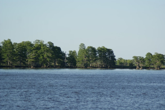 Life in the Slow Lane (The Pearl): May 13 - Butler Island, SC