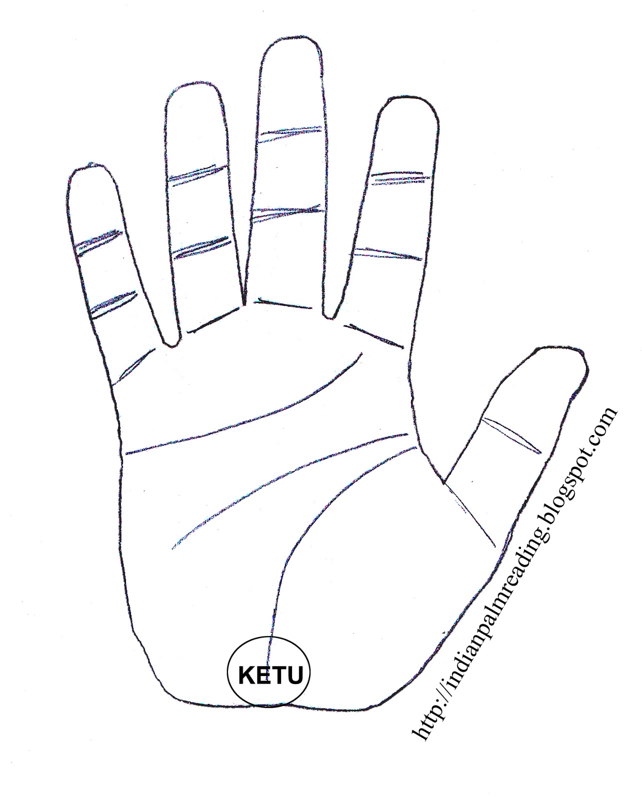 Good Or Bad Signs On Mount Of Ketu On Hand Palmistry ~ INDIAN PALMISTRY ...