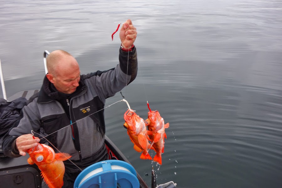 SPEKKHOGGER´N: Artig uerfiske