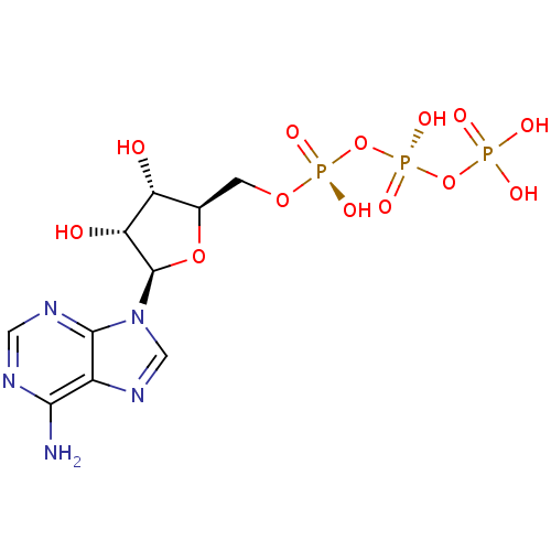 Adenosine triphosphate ~ Structure of