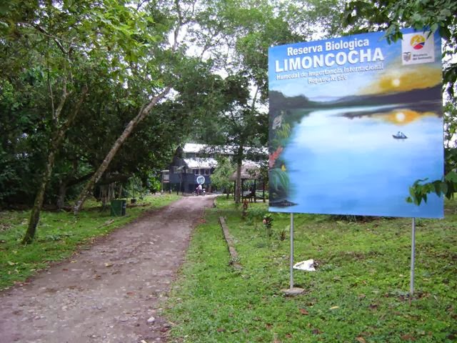 RESERVA ECOLOGICA DE LIMONCOCHA: FAUNA Y FLORA DE LA RESERVA ECOLOGICA ...
