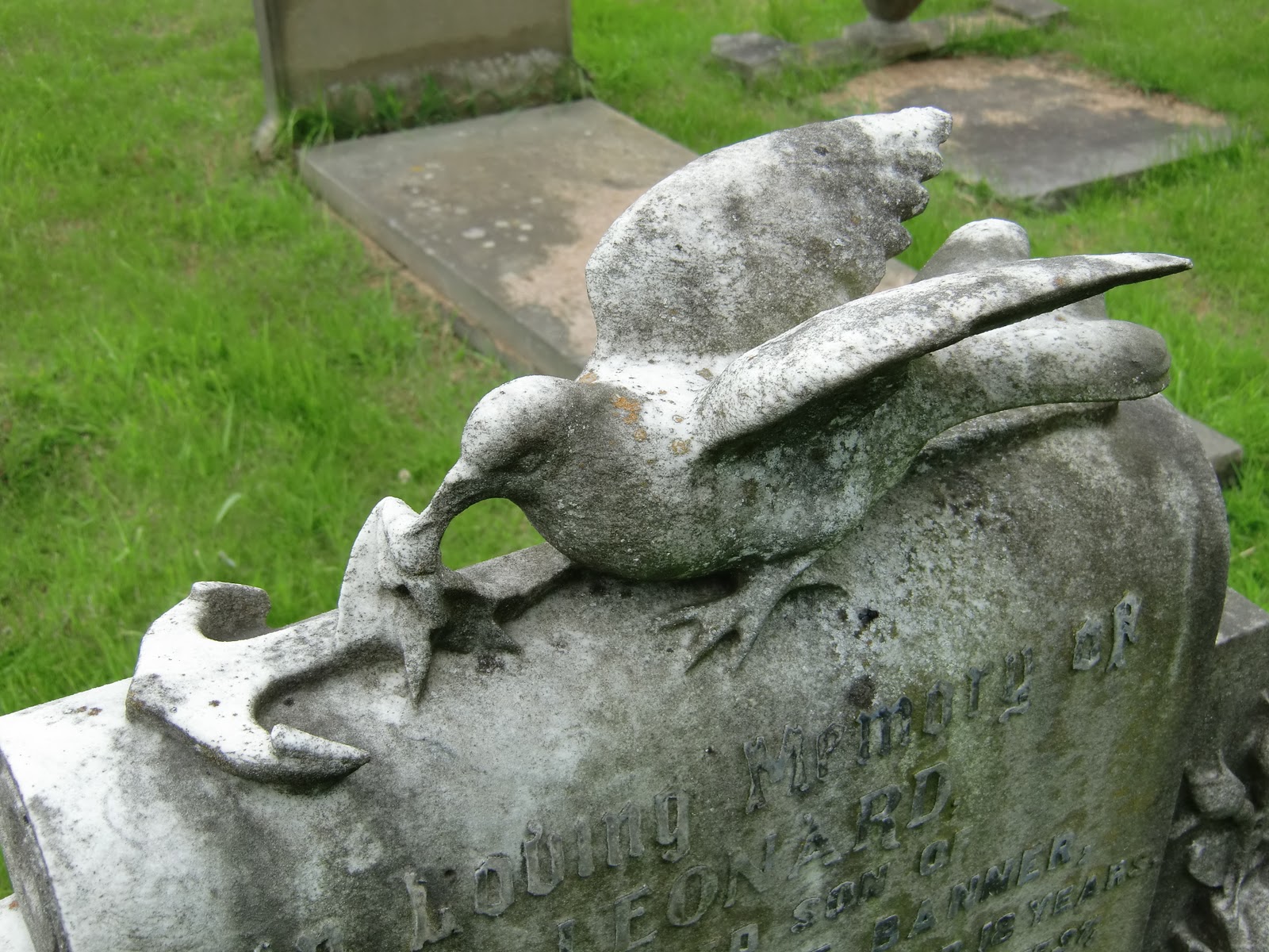 Sleeping Gardens: Dove and Anchor