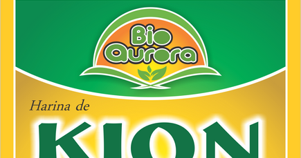 Plantas que curan del PERU : KION o Jengibre Ayuda a aliviar la gripe y ...